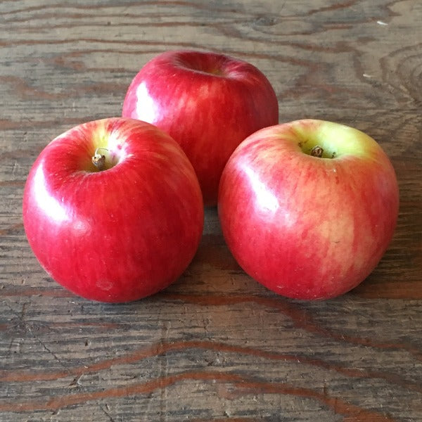 Redfree – Heritage Farm & Fruit Trees