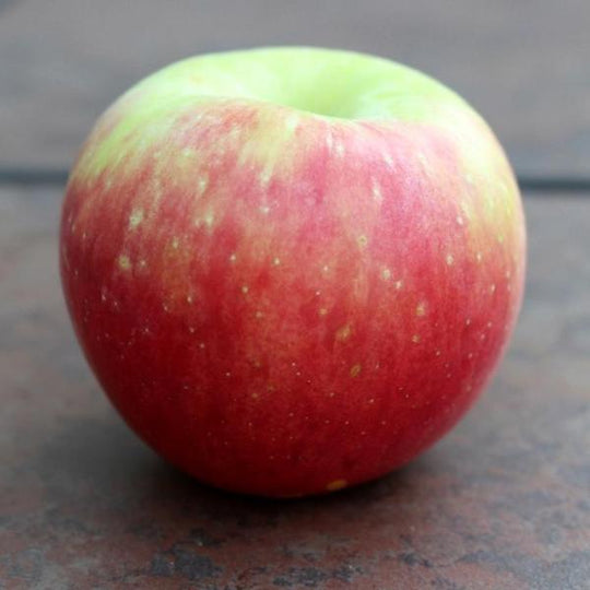 Zestar! – Heritage Farm & Fruit Trees