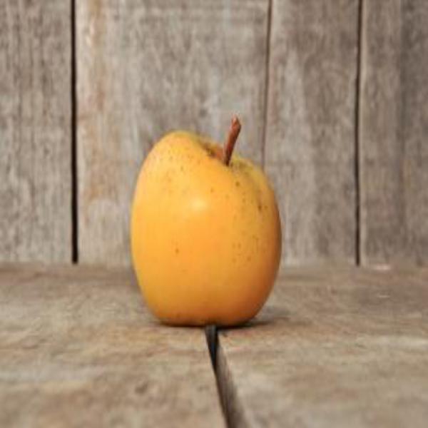 Harrison – Heritage Farm & Fruit Trees